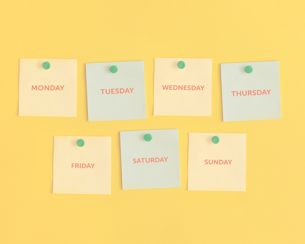 Why You Should Rotate Food for Dogs and Cats? | Furchild