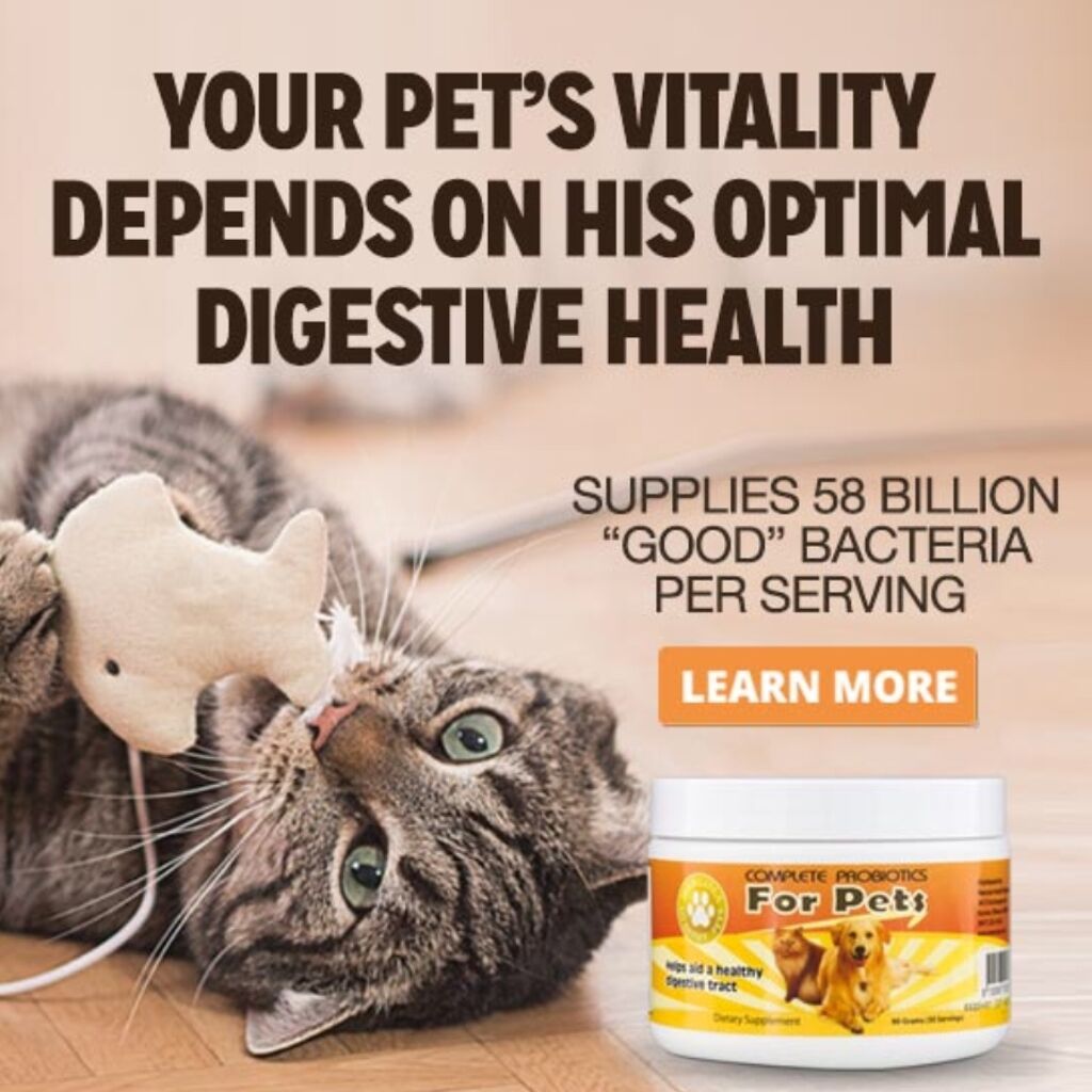 Dr. Mercola Pet Probiotics Product and Knowledge