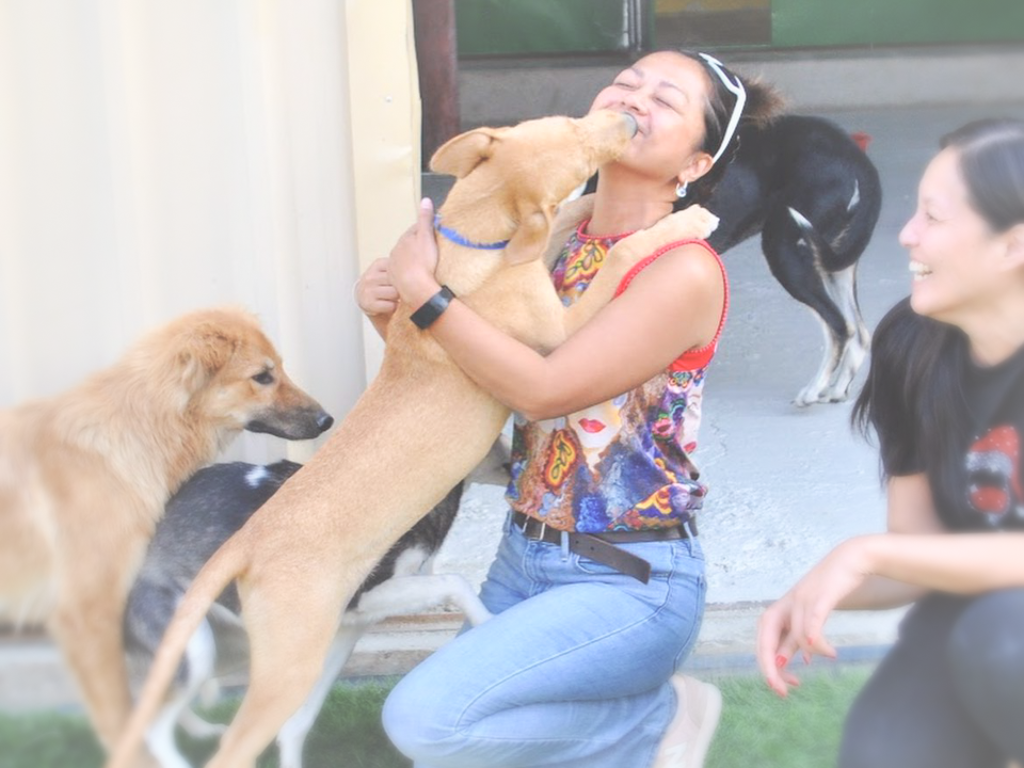 Expressing Furchild's Gratitude with the Giving Back Initiative