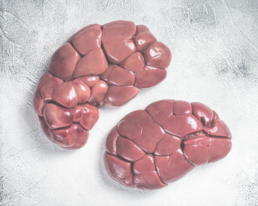 Benefits of Offal for Dogs and Cats - Furchild