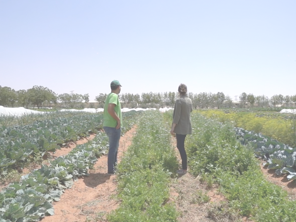 Tour Our UAE Organic Farm - Furchild