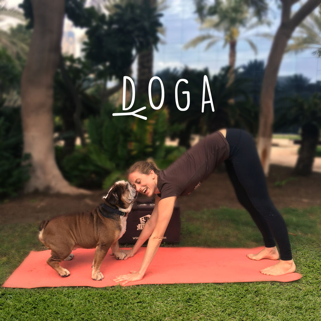 Yogafest is coming! Join us for DOGA (doggie-yoga)