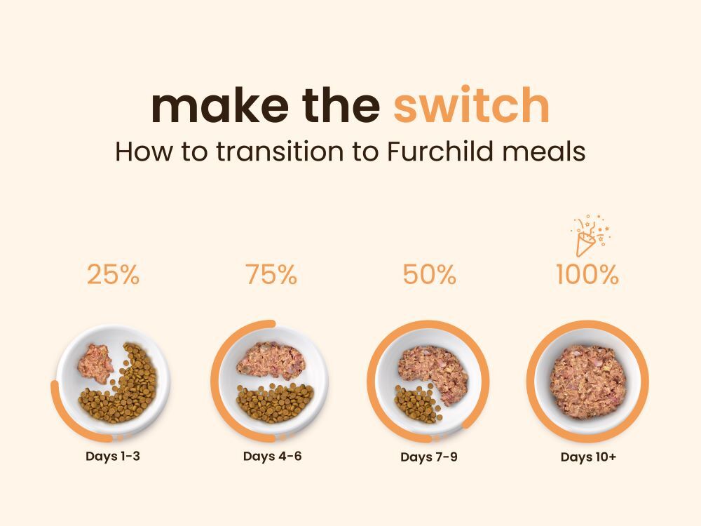 The Ultimate Guide to Transitioning Your Pet to a Raw Diet | Furchild