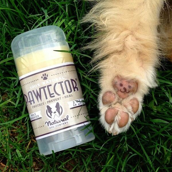 Fresh RAW Food for Dogs & Cats | Furchild Pet Nutrition