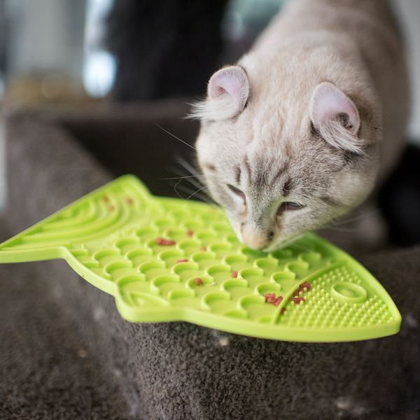 Fresh RAW Food for Dogs & Cats | Furchild Pet Nutrition