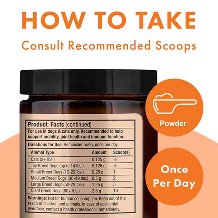 Bark & Whiskers (Dr Mercola's) Organic Curcumin Extract For Dogs and ...