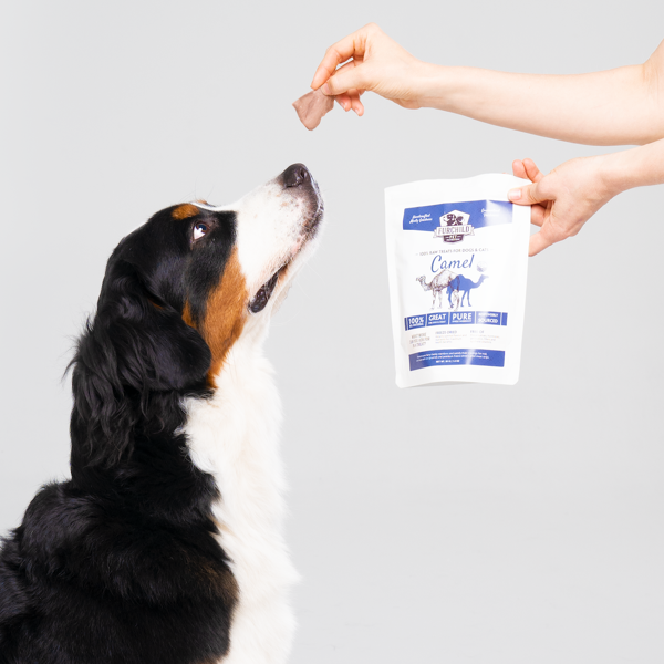 Buy Dog Food - Online Delivery in Dubai & Across UAE - Furchild