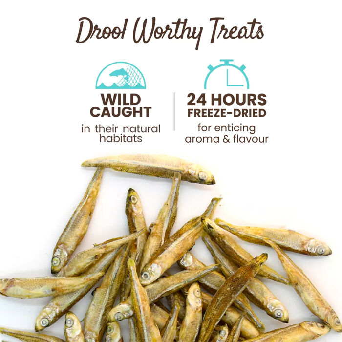 Freeze Dried Raw Minnows Treats for Dogs & Cats Online in UAE - Furchild
