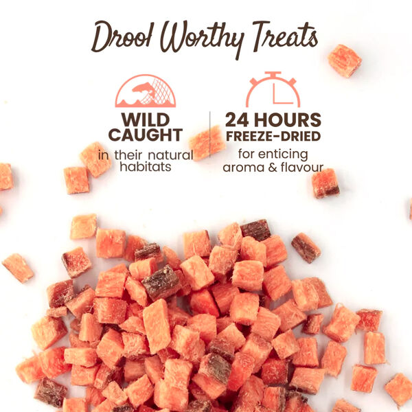 Buy Dog Food - Online Delivery in Dubai & Across UAE - Furchild