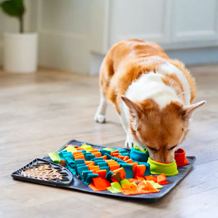 Square Forage Snuffle Mat & Lick Mat For Dogs And Cats Online in UAE ...