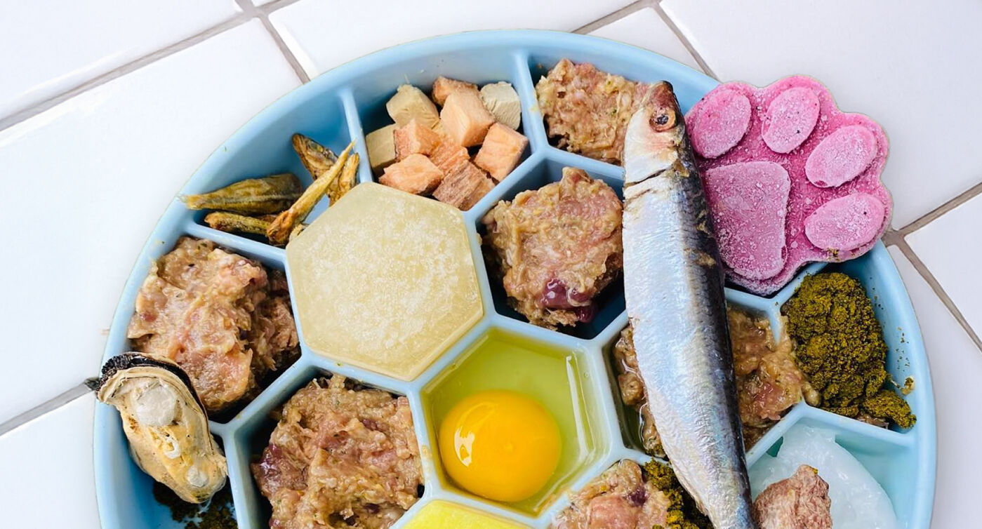 Pet Food - Dog and Cat Supplies - Furchild