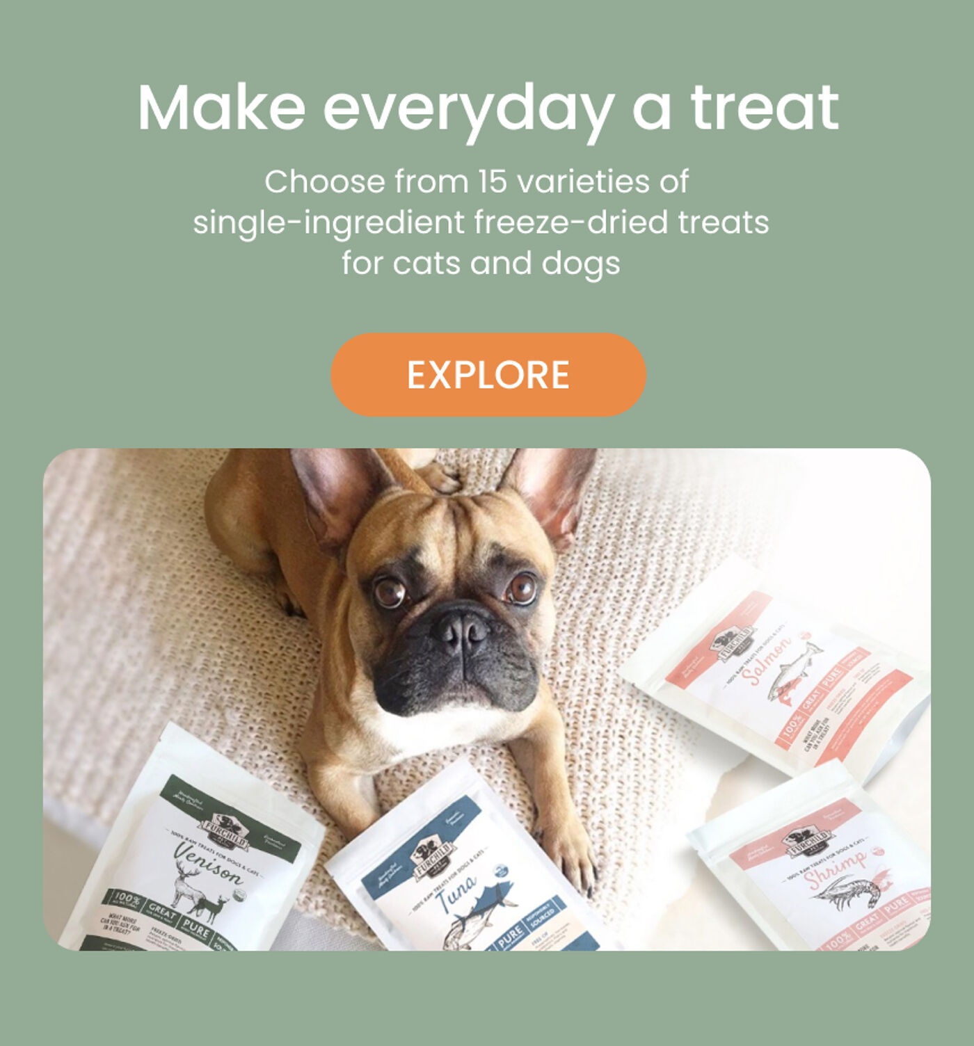 Pet Food - Dog and Cat Supplies - Furchild