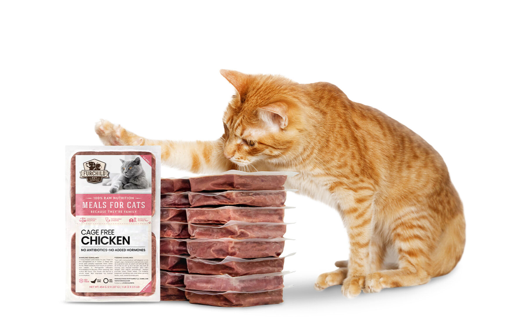 Raw Nutrition for Cats - Starter Kit & Flexible Subscriptions | Furchild