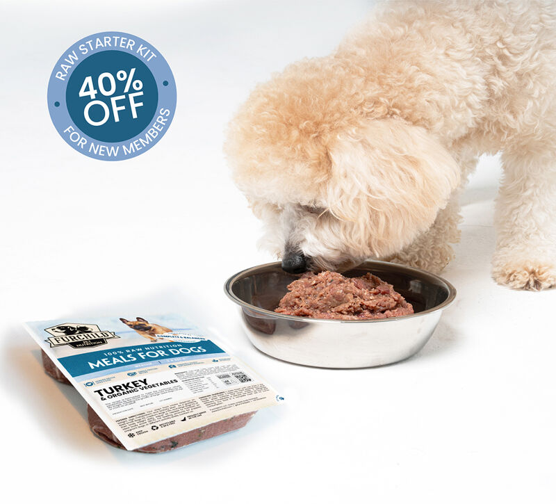 Starter Kit for Dogs – Raw Nutrition & Flexible Subscriptions | Furchild
