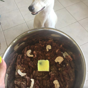 Fresh RAW Food for Dogs & Cats | Furchild Pet Nutrition