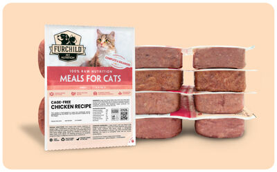 Premium Raw Pet Food, Delivered to You - UAE’s #1 Raw Pet Food Company