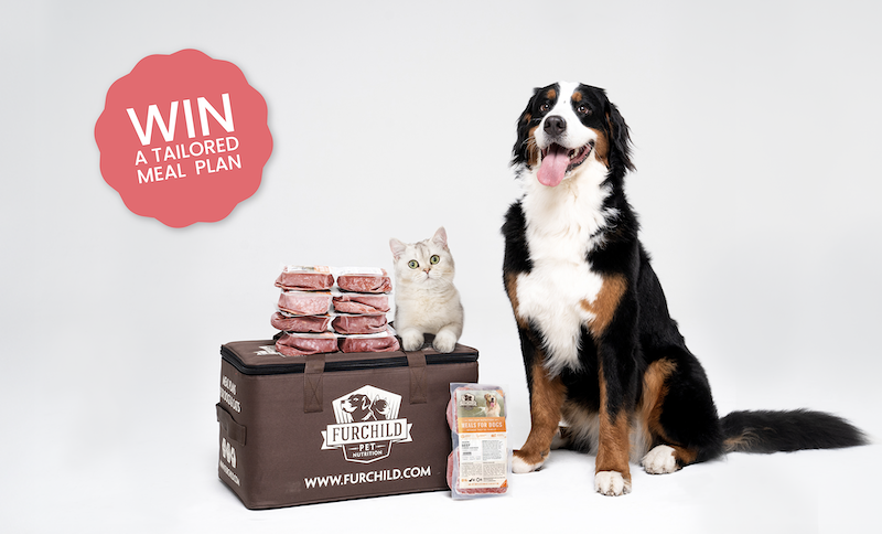 Raw Pet Food Starter Pack for New Customers in UAE - Furchild